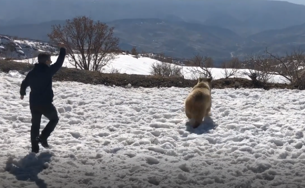 Travels in Iraq – Charles Walker | Photography